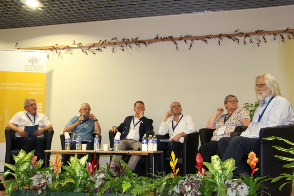 La nouvelle mandature du CESER en pleine préparation ! | CESER ...